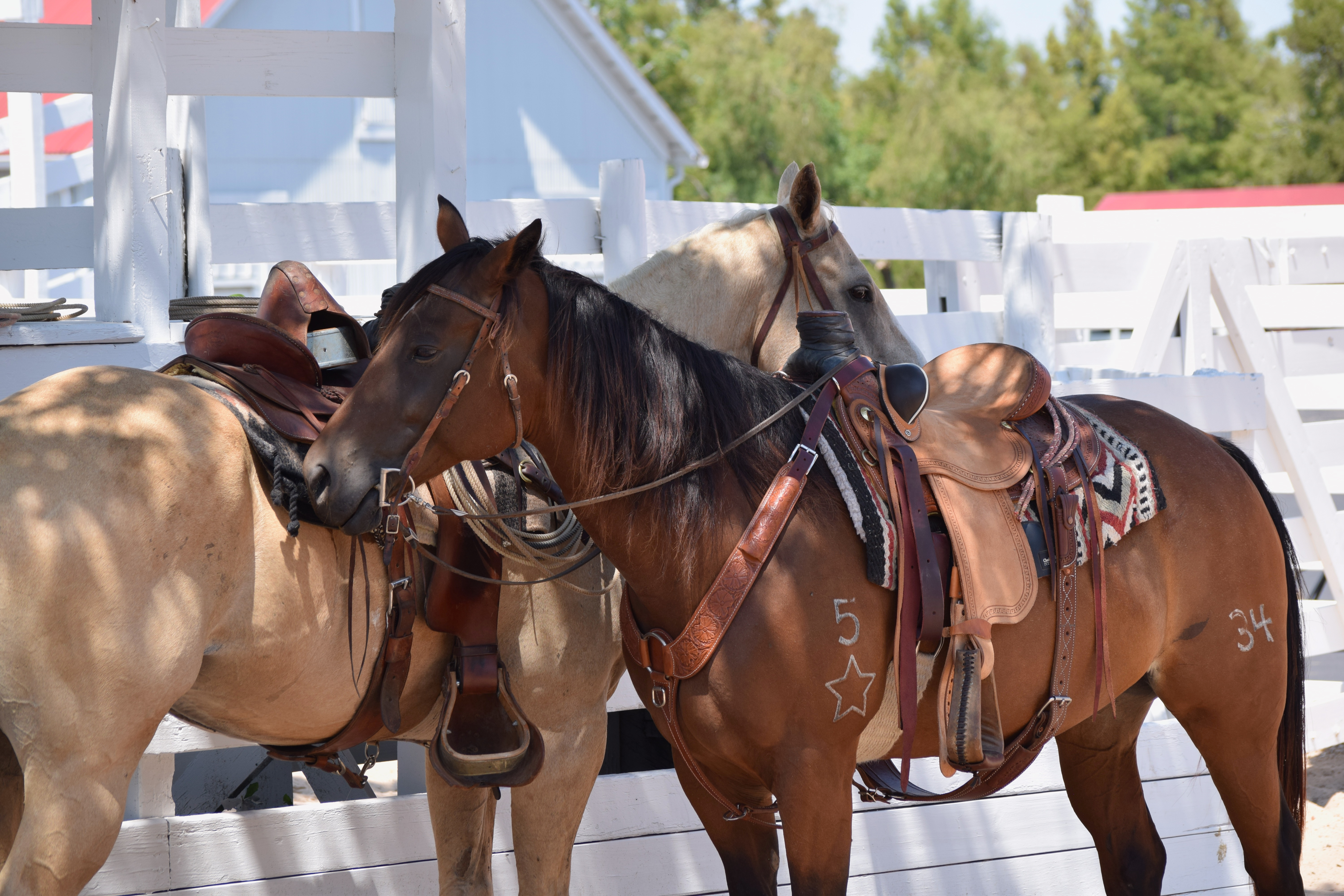 Discover George Ranch Historical Park in United States with Optional ...