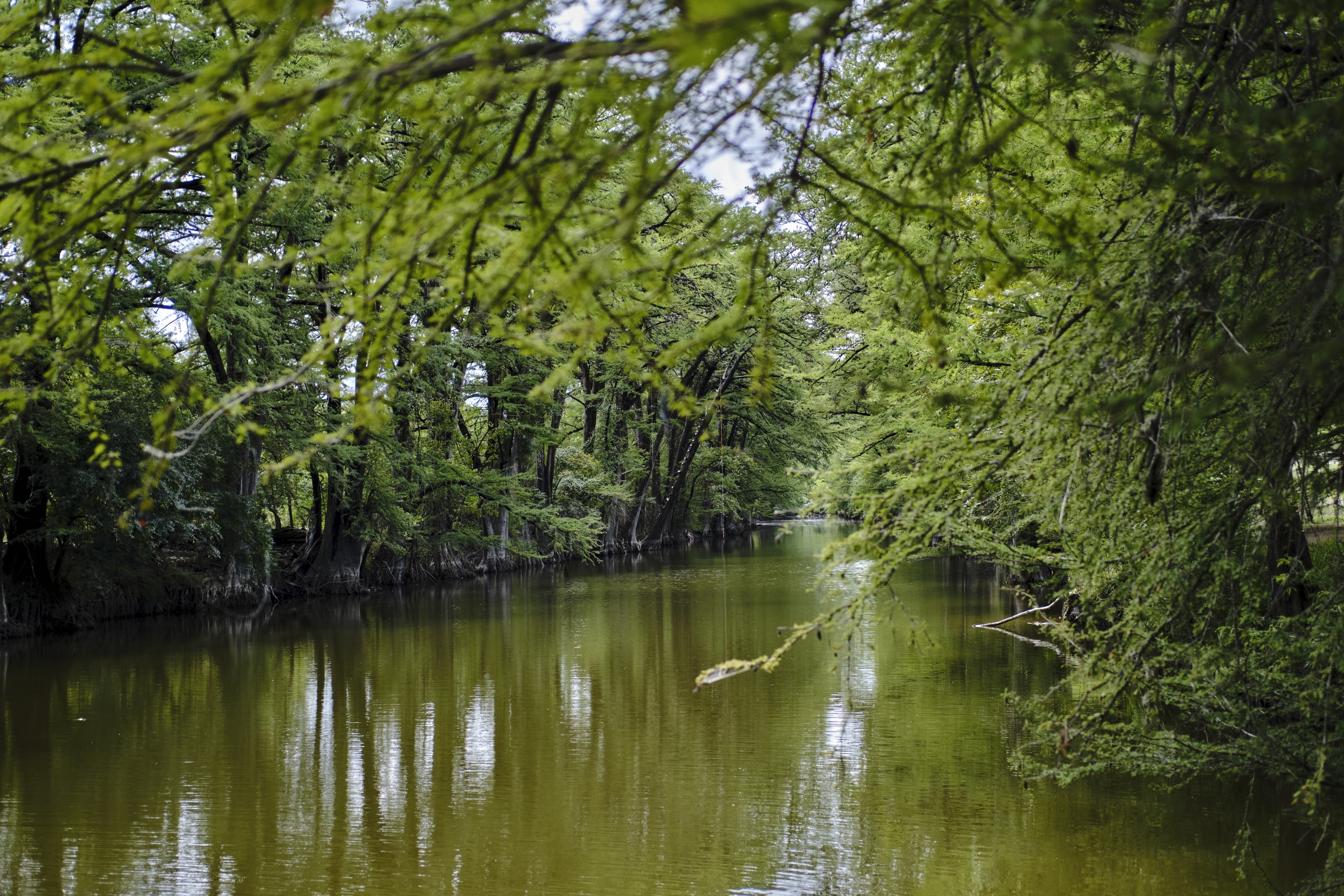 Explore Medina River Natural Area in United States with Optional ...