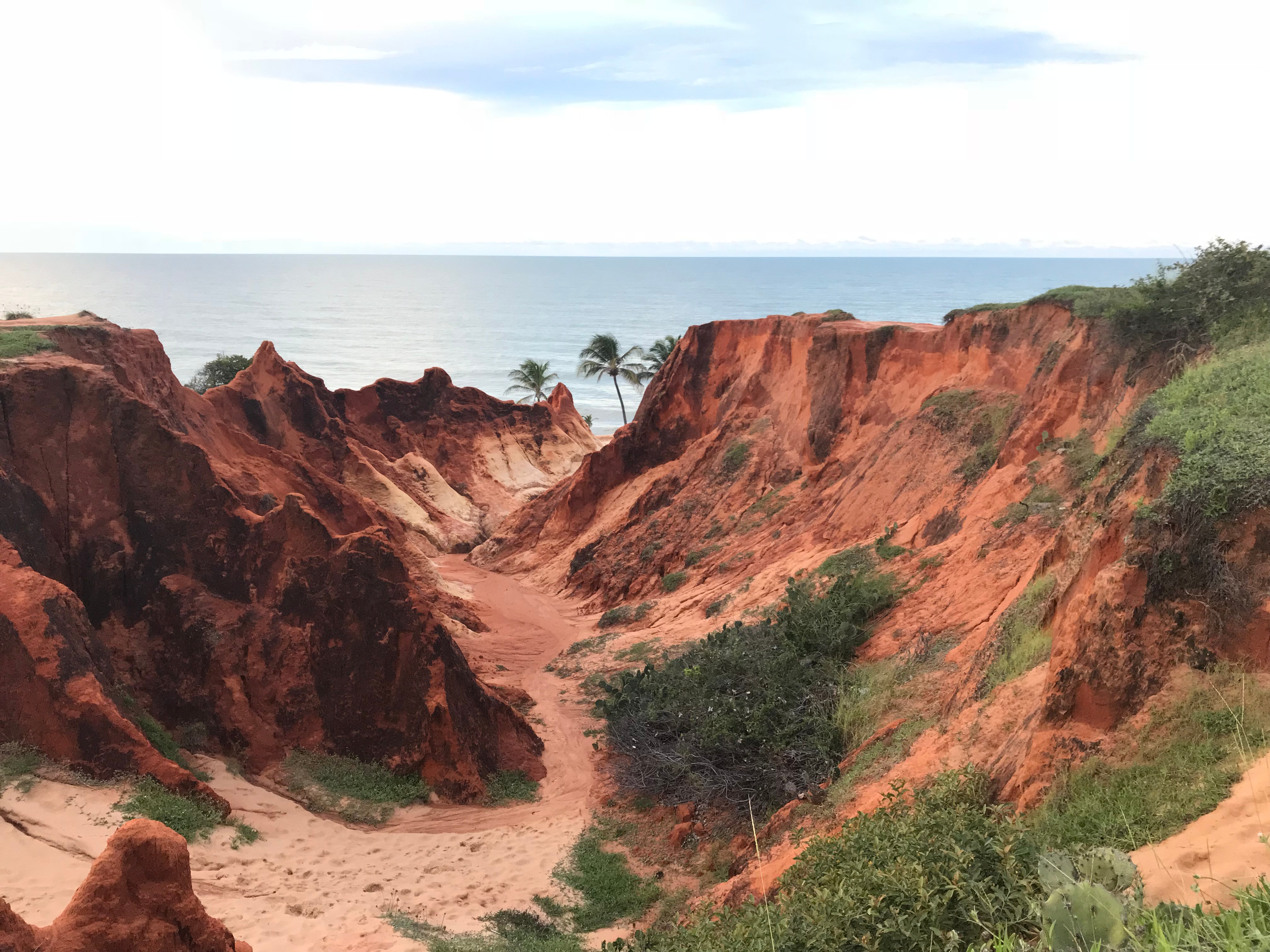 Explore Natural Monument of Beberibe Cliffs in Brazil with Optional ...