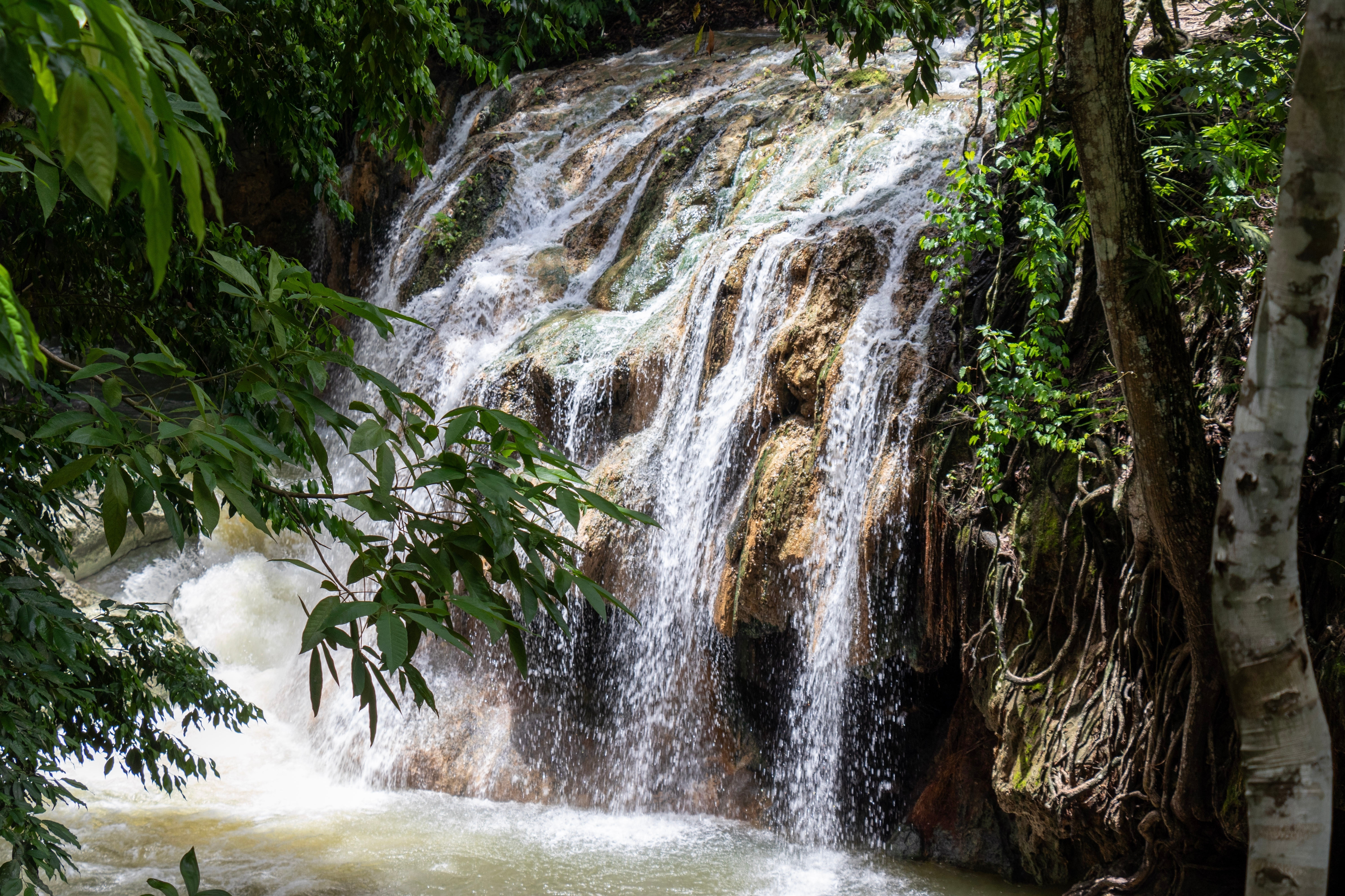 Discover Cascada El Salto Del Venado in Honduras with a Private Driver ...